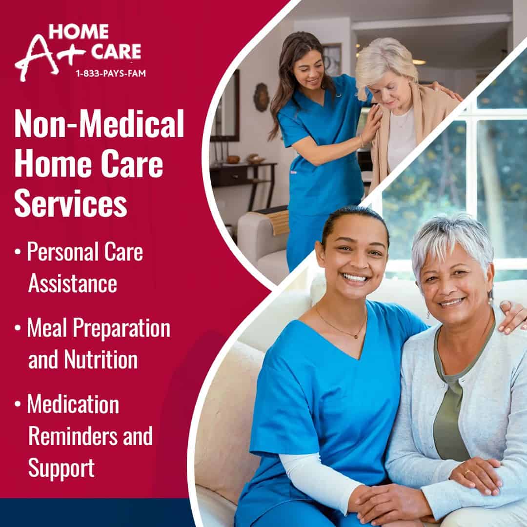 Senior Care at Home: Why More Families in Harrisburg, PA, Choose A+ Home Care for Their Loved ...